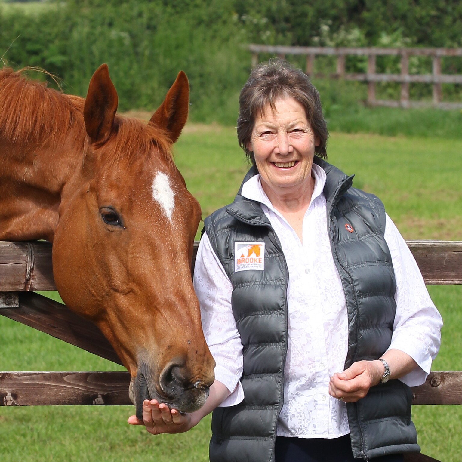 Jane Holderness-Roddam - West Kington Stud